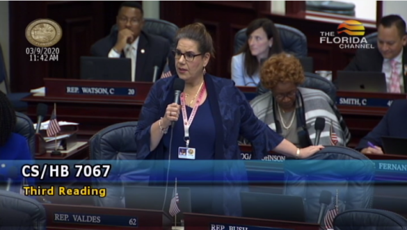 Word for word: Rep. Susan Valdes on HB7067 - NextSteps: Step Up For ...