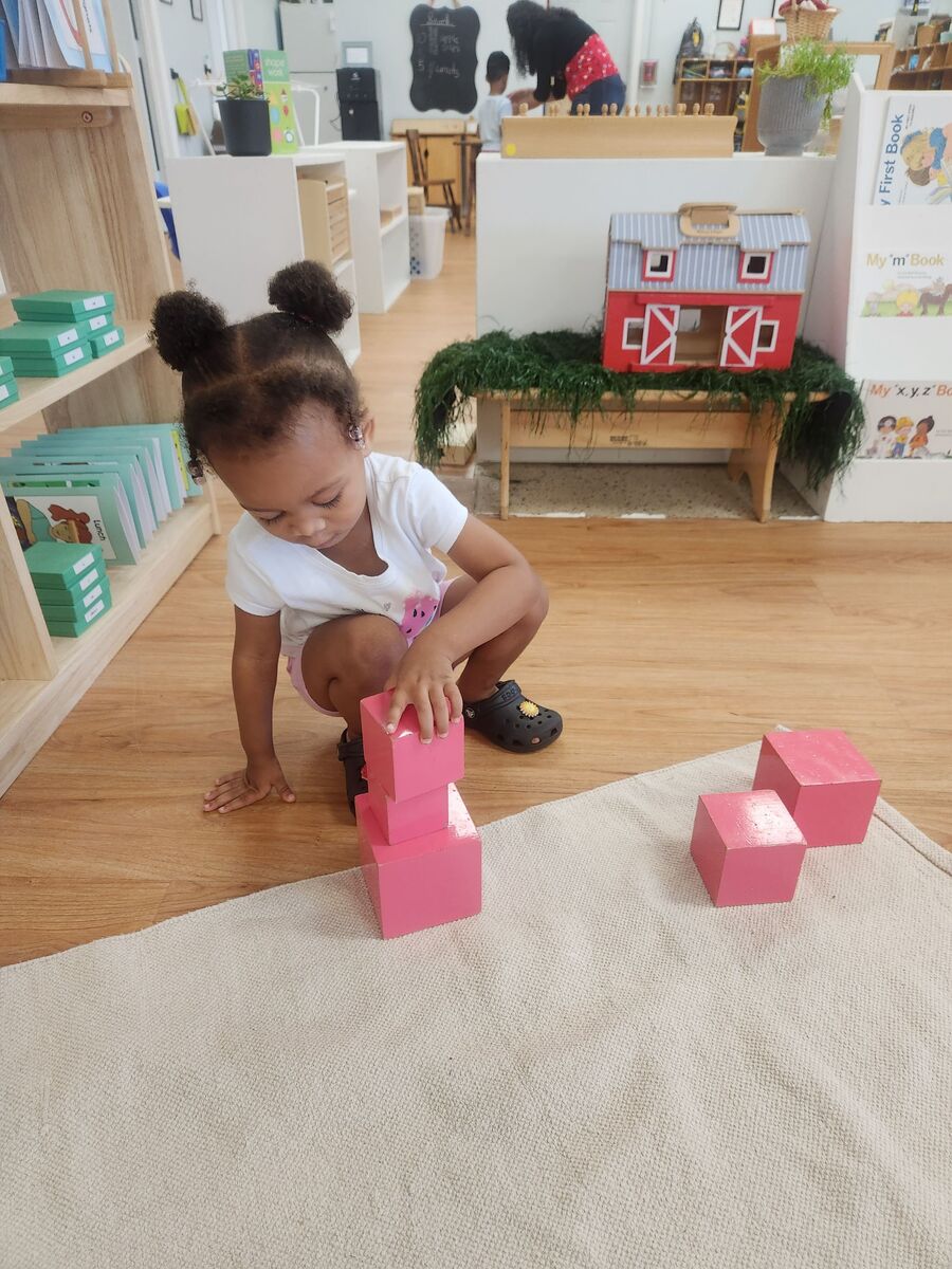 Blazing Stars, blazing trails - NextSteps: Step Up For Students